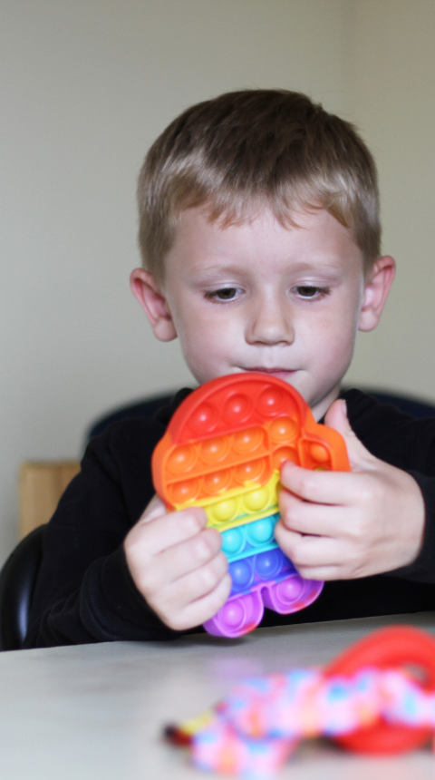 bibic family stories - bibic