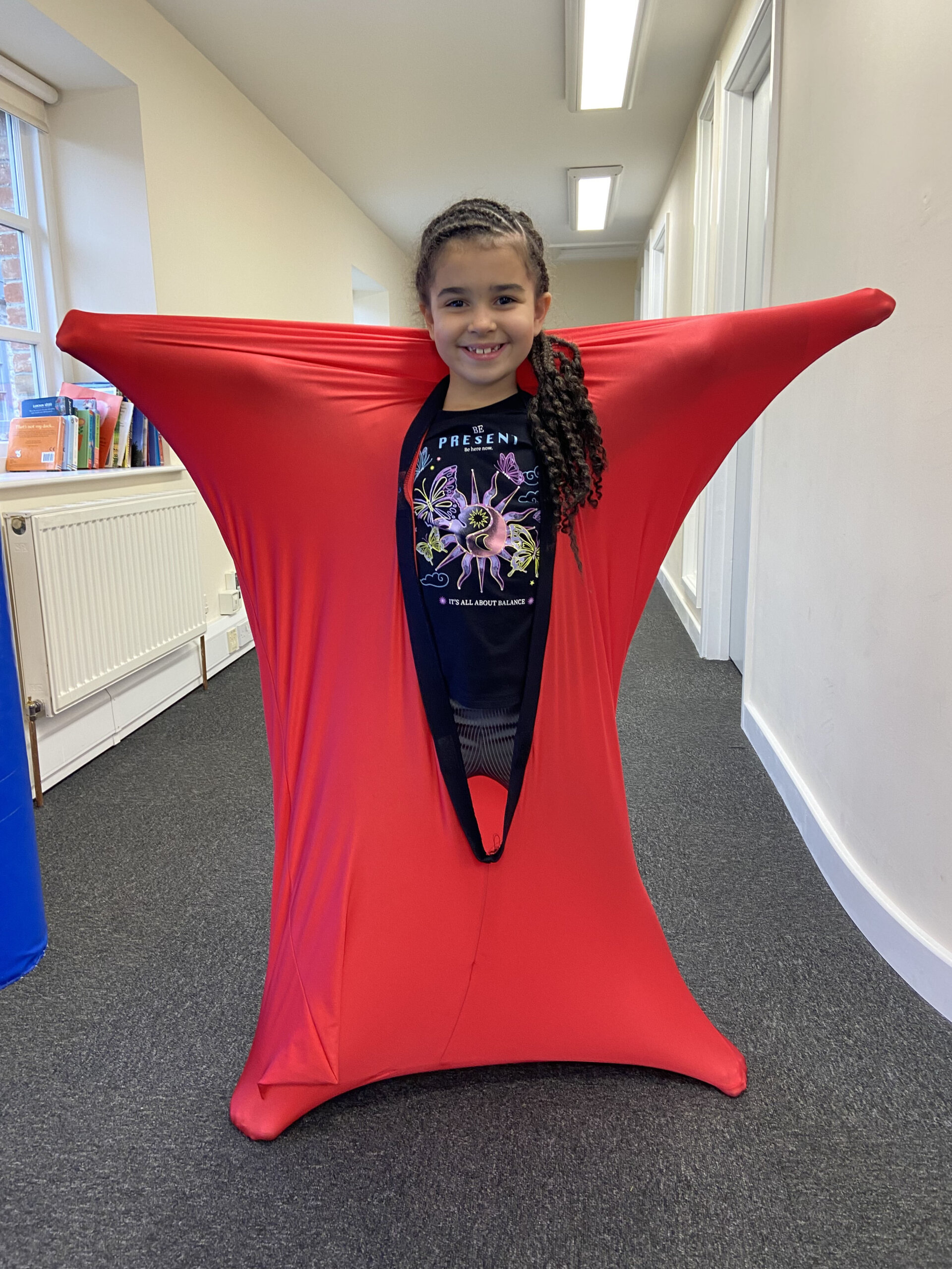 2 day bibic assessment - bibic