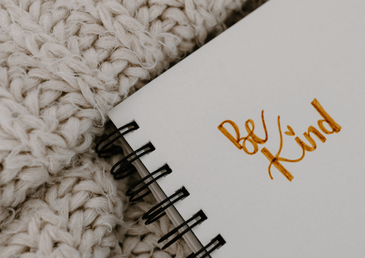 Resources Archive - bibic