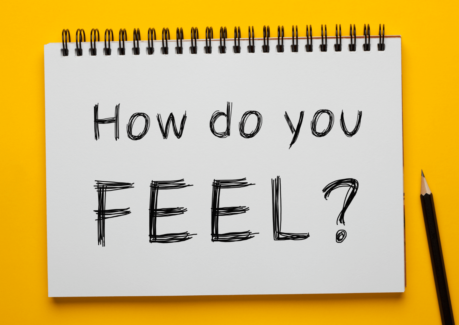 Resources Archive - bibic